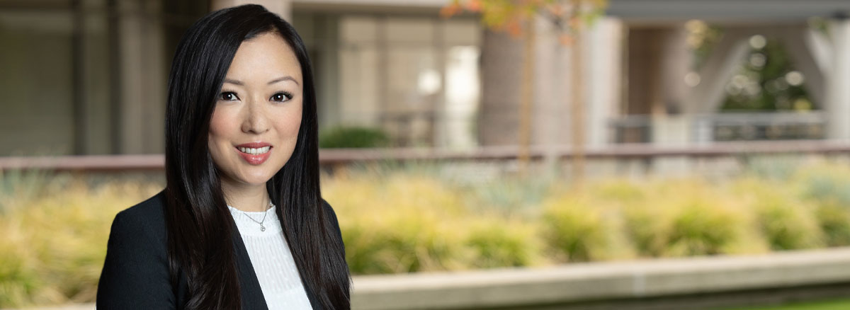 Lisa Young Sutton - Appellate Litigation Attorney